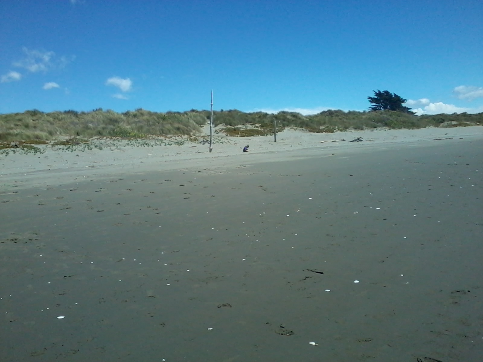 Skiving Off | Union Homestead