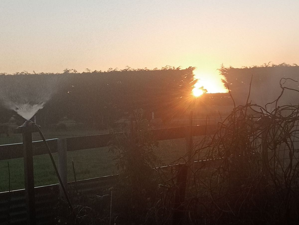 Giving it Your Best Yubba | Union Homestead